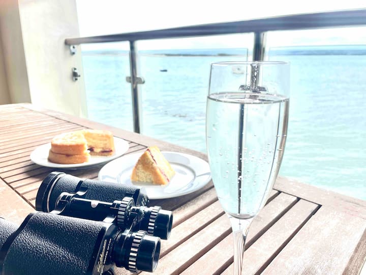 Smugglers Slipway Cottage - Views Across The River - Appledore