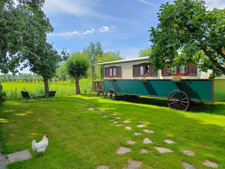 Ruime Pipowagen Met Badkamer, Jacuzzi & Zwembad - Niederlande