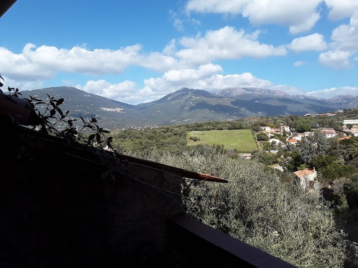 Pour 4 Personnes Maison Avec Studio Indépendant - Propriano