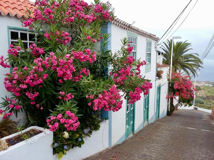 Natur Pur- Entspannung Im Grünen - La Palma