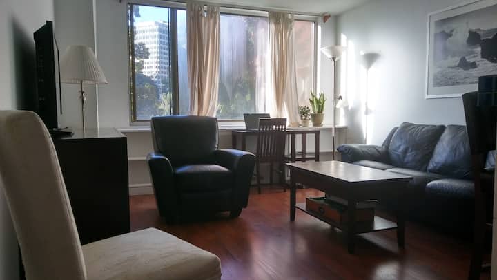 Rosslyn Metro Entire Apartment - Safe Neighborhood - Arlington, VA