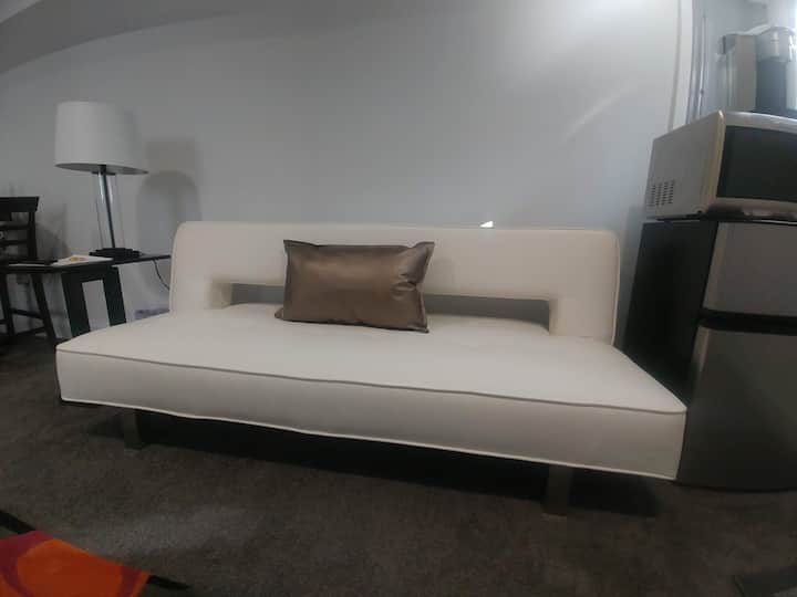 Bucktown Square - 5 Min To Subway/1 Mi To Hospital - シカゴ