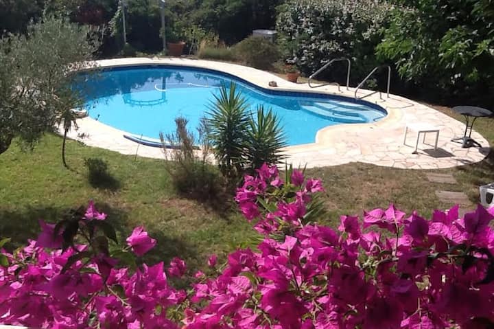 Villa 
Avec  Jardin Et Piscine Privatifs - Bandol