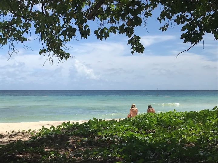 2 Bdrm/office, W/d, Wi-fi, Mins2beach&food; Topfl - Barbados