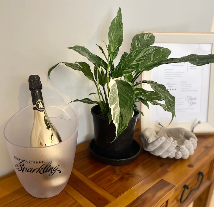 Bribie Island - Walk To The Beaches & Pet Friendly - Bribie Island