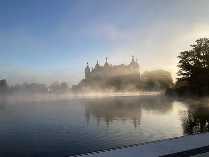 Schilfblick - Schwerin
