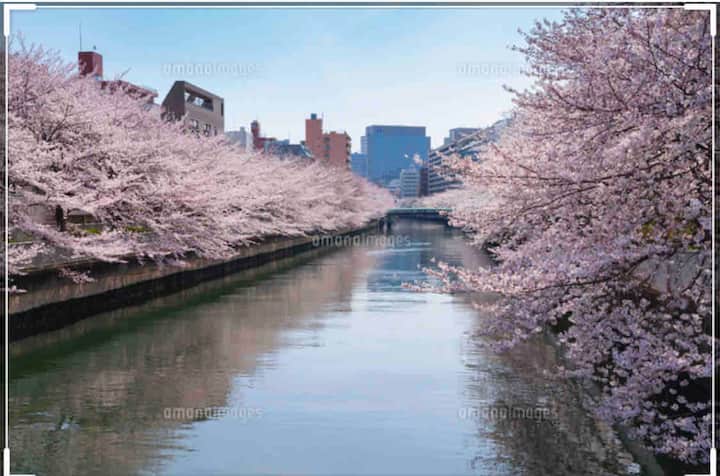 【最大8名迄ok】桜やお寺が楽しい下町エリア門前仲町　新宿　六本木　ディズニー直通！東京駅至近 - Ginza