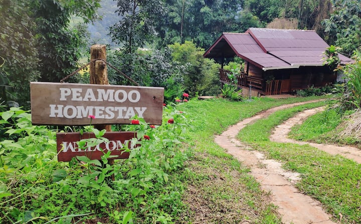 We Are Located In Doi Inthanoon National Park. - Mae Hong Son
