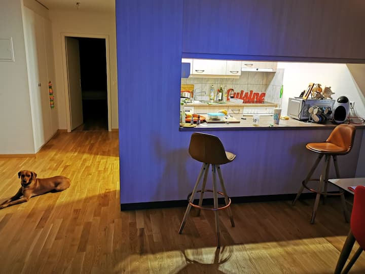 Appartement De 2.5 Pces à 100m Du Lac, Au Centre - Montreux