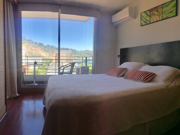 Santiago:modern Apart Providencia/optional Parking - Santiago