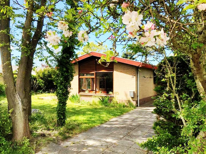 Ferienhaus In Strandnähe *Teilsaniert 2023* - Den Helder