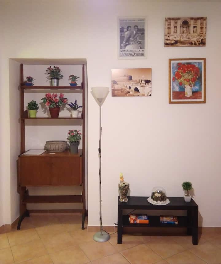 Domus Monserrato - Rome