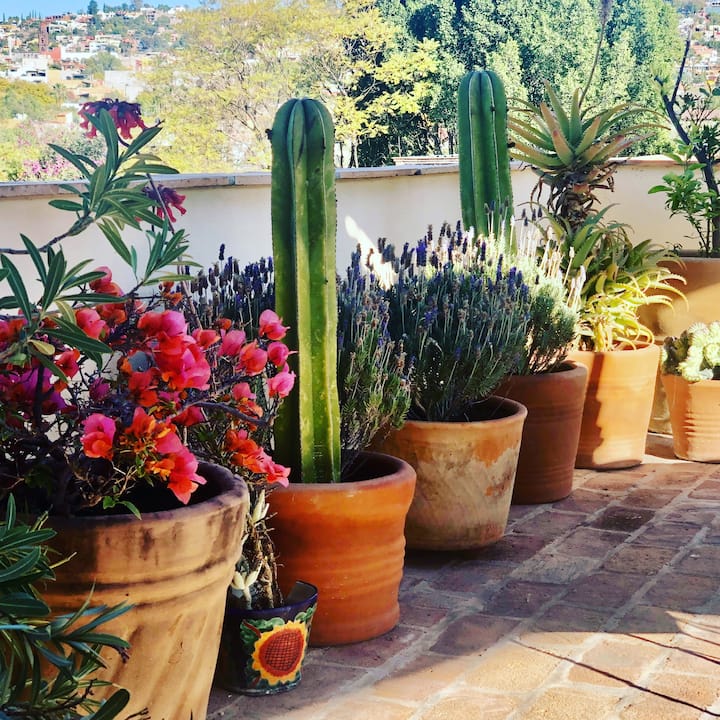 "Beautiful Artistic Gem, Spectacular Rooftop View! - San Miguel de Allende