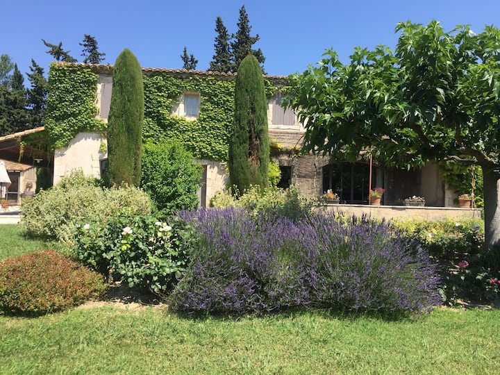 Très Belle Vielle Mas 18siecle Avec Grande Piscine - Saint-Martin-de-Crau