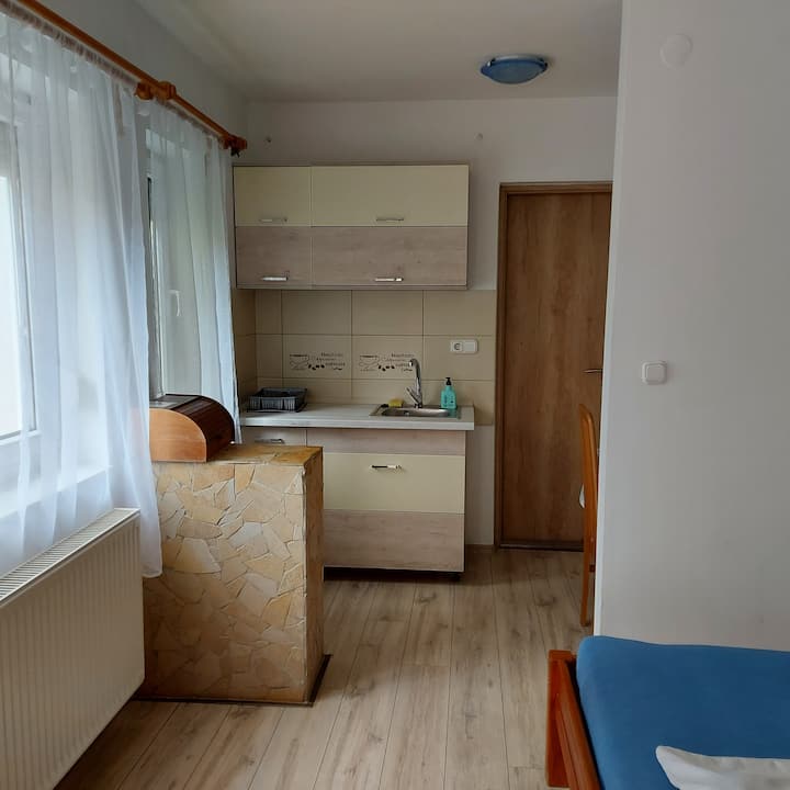 Viktória Vendégház Földszinti 2 Fős Apartman - Miskolc