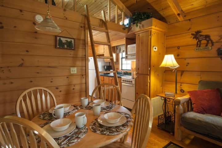 Bear Cub Cabin At Lands Creek Log Cabins - Bryson City, NC