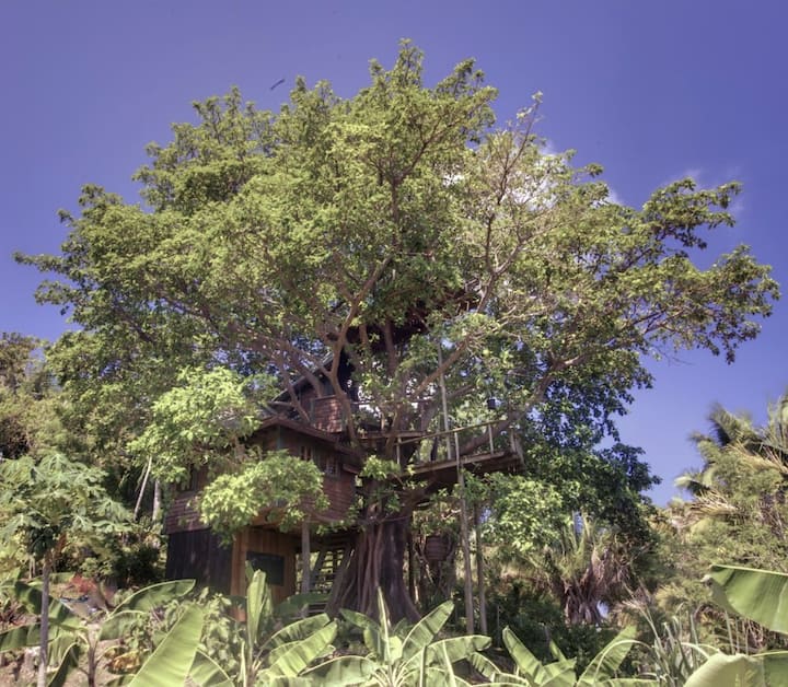 Utila Treehouse, Romantic And Lush! - Honduras
