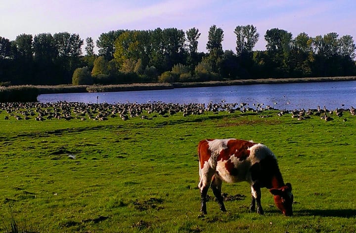 Stadtnahes Haus Im Grünen - Lübeck