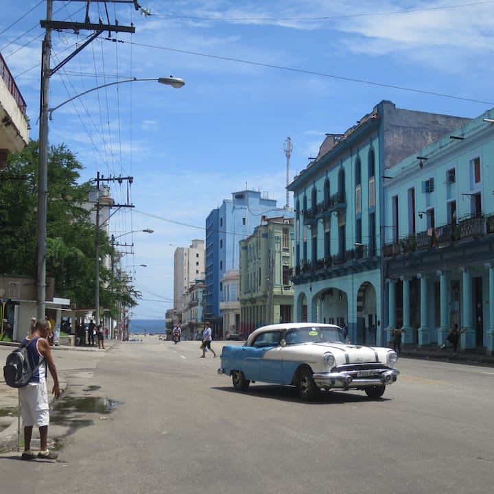 Artisanal Flat In The Heart Of Vedado - Havana