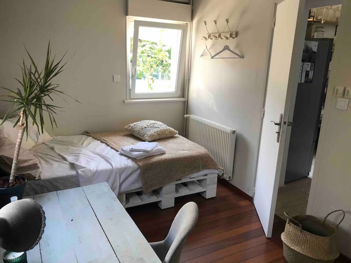 Agréable Chambre Dans Maison Au Calme Avec Piscine - Toulouse