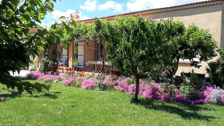 Maison Roquemaure Proche Avignon - Saint-Laurent-des-Arbres