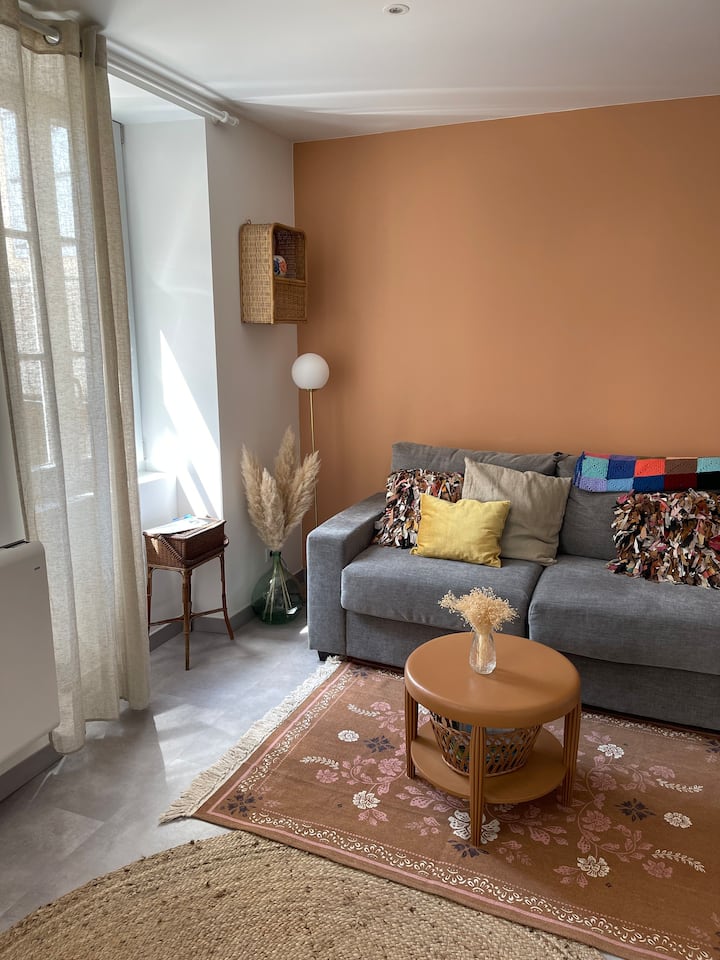 Le Cocon Des Ducs, Appartement Centre Historique - Nevers