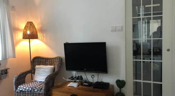 River-view Apartment Shatin - Facemasks Provided! - 深圳市