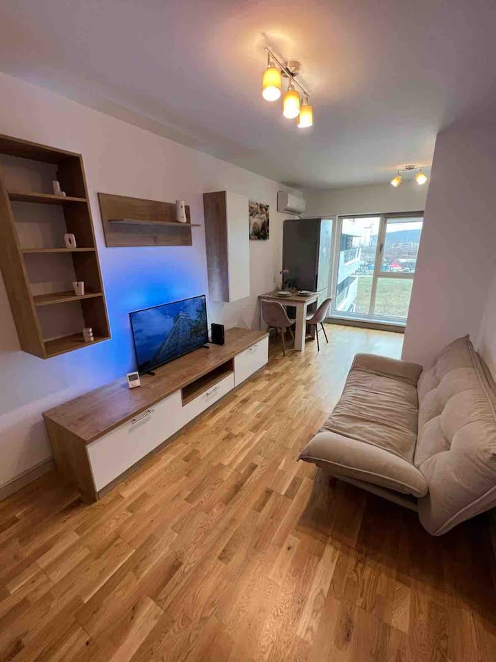 Airport Flyhub Chic Apartment - Ungheni