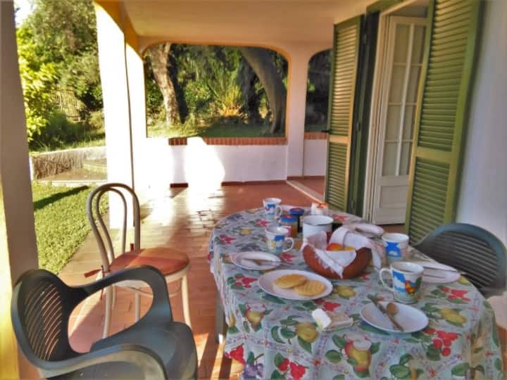 We're Not For You_ _ _ Or Maybe We Are! - Finale Ligure