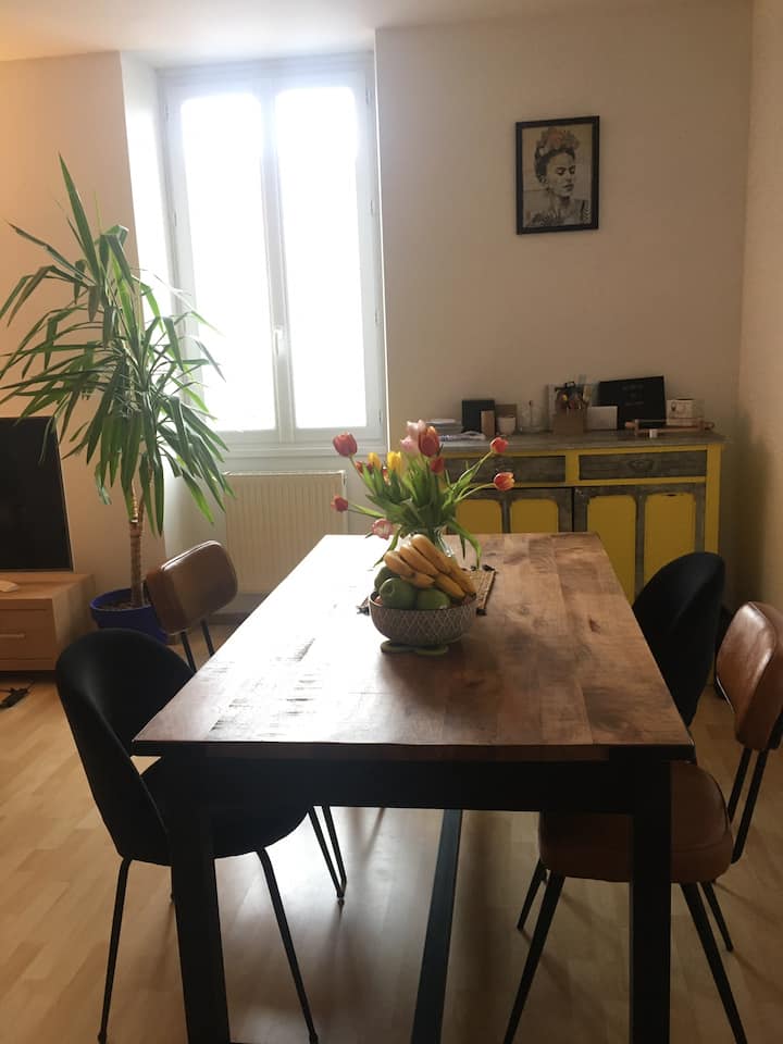 Grand Appartement Proche Du Centre Ville - 바욘