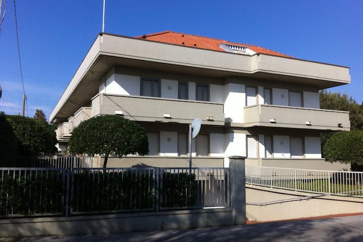 Oasi - Oasi 1 - Carrara