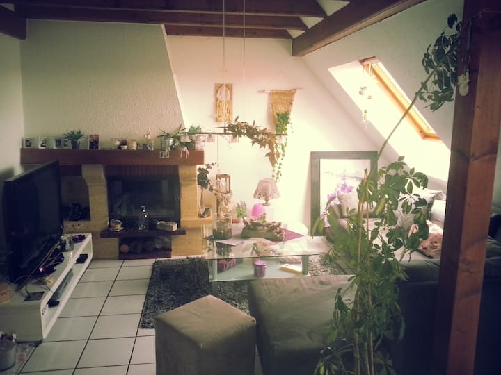 Duplex Cosy Et Chaleureux, Proche Centre-ville - Colmar