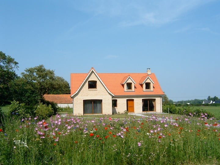 Gîte Opale Inn - Wissant