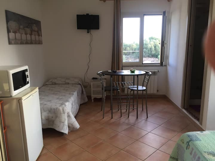 Il Posto Al Sole - Olbia