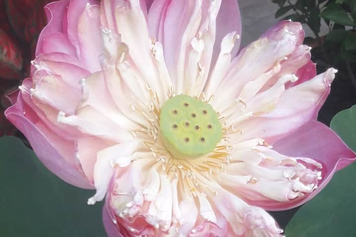 Close To The Beach And Charming - Hua Hin