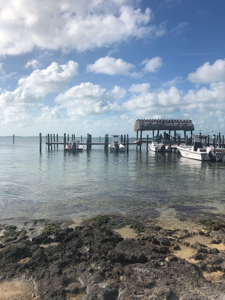 Two Bedroom Oasis, Steps From Pool And Ocean - Islamorada, FL