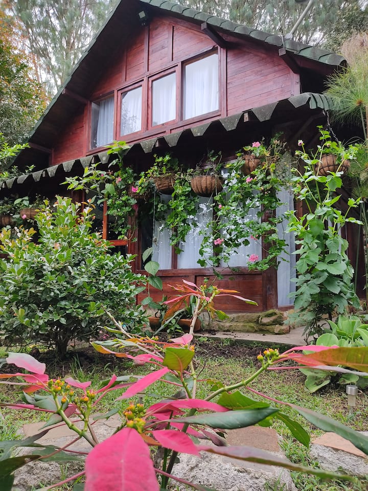 Cozy Cabaña In Santa Elena - Villa Baviera - Guarne