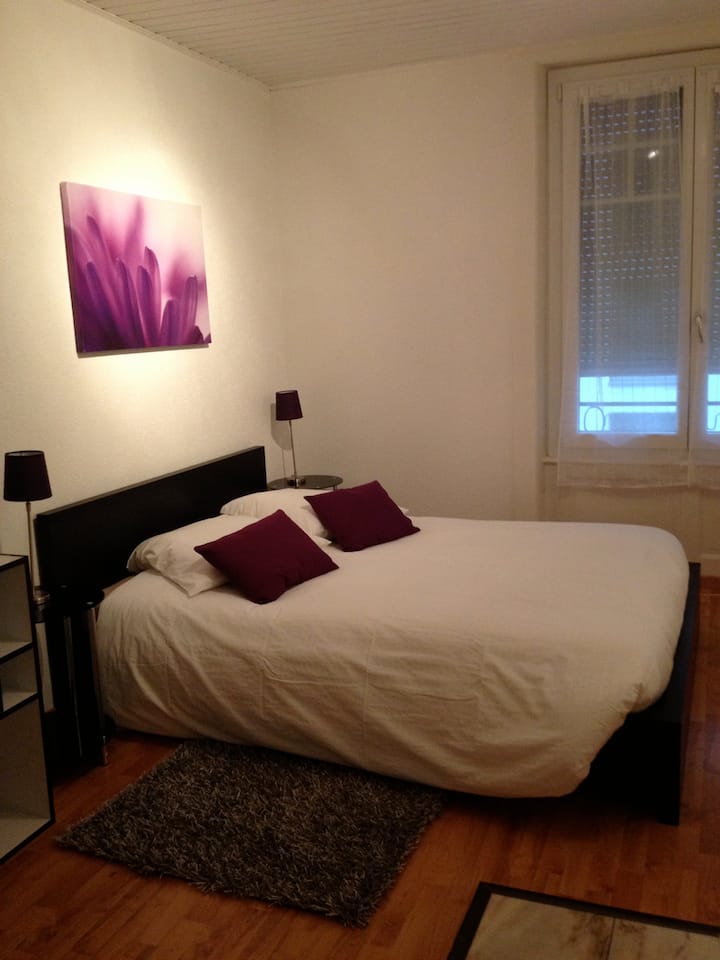 Studio Centre Ville Lausanne Floréal - Lausanne