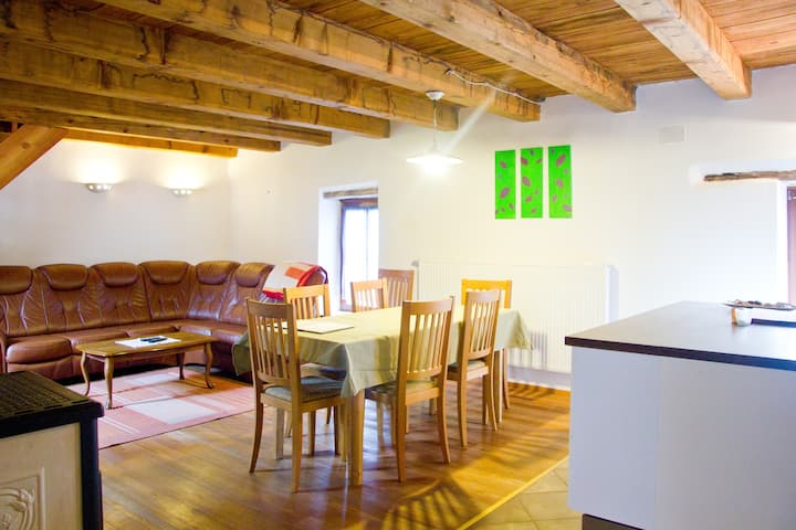 Beautiful Old Stone House Skvor Robidisce - Kobarid