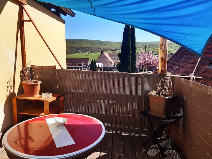 Gîte " Le Terrier Du Renard " - Wasselonne