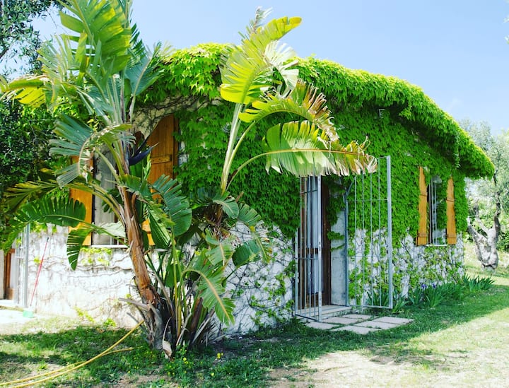 Villa Meridiana. - Vieste