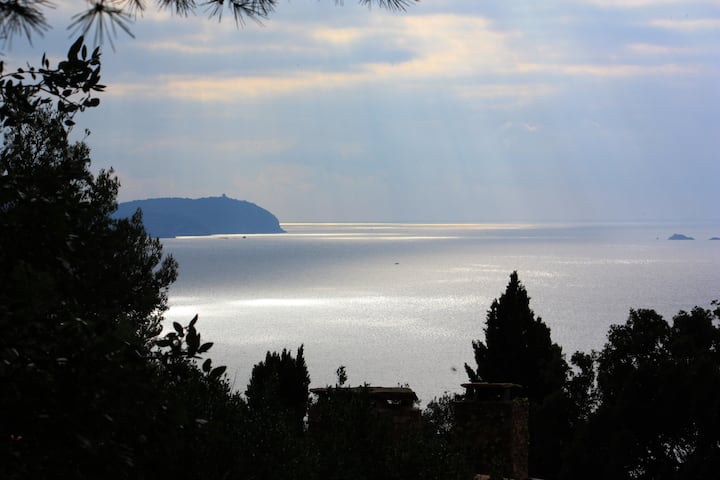 Maison Catherine Superbe Vue Mer Et Terrasses - Var