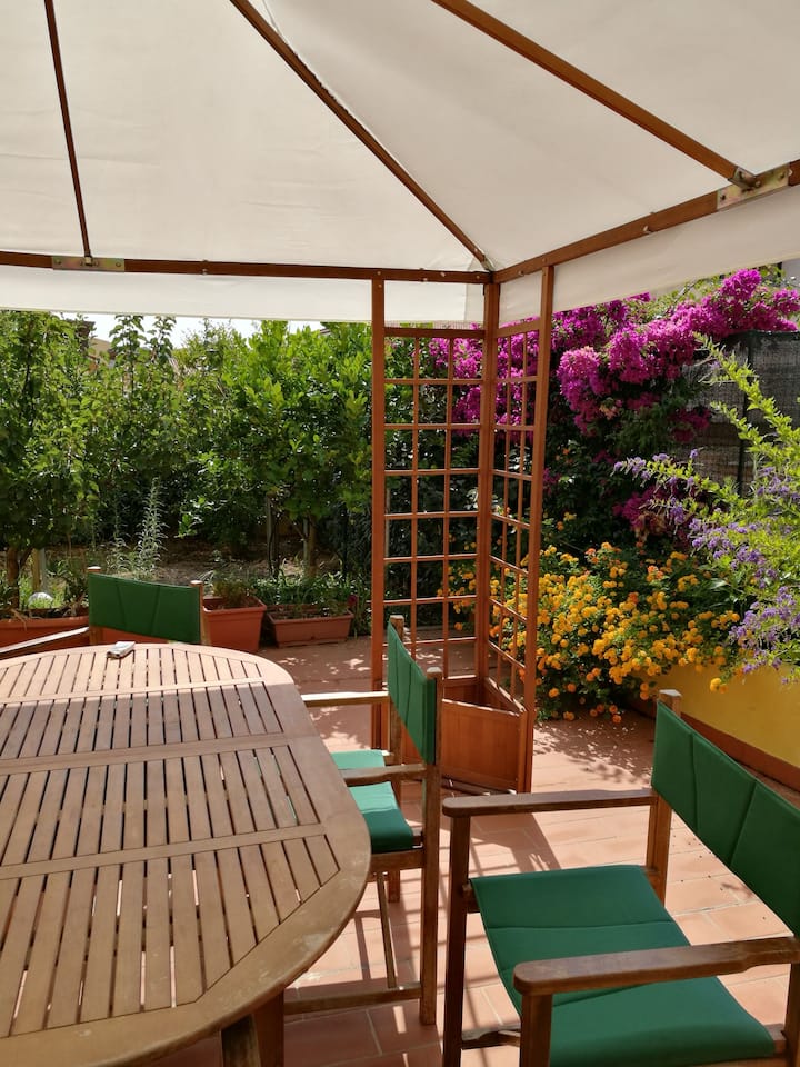 Bilocale E Giardino Two-room Apartment With Garden - Santa Teresa Gallura