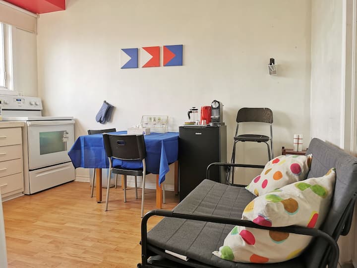 Lovely One Bedroom Studio With Bright Areas - Montreal