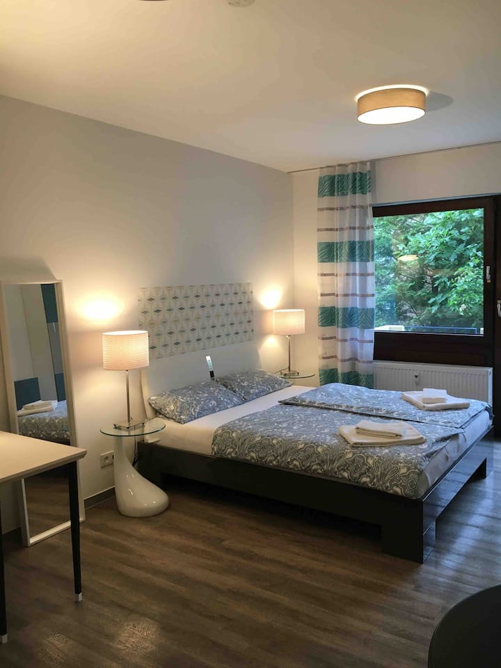 Single Room Apartment W/ Balcony, Newly Renovated! - Wiesbaden