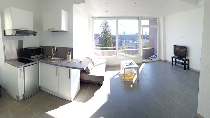 Studio 30m2 Centre Ville.200 Mètres Marché De Noël - Montbéliard