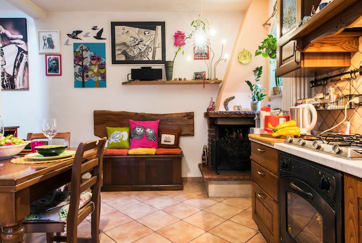 Frugo's House - Pisa