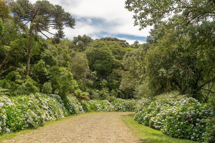 Suíte Para Casal Em São Francisco De Paula/rs - São Francisco de Paula