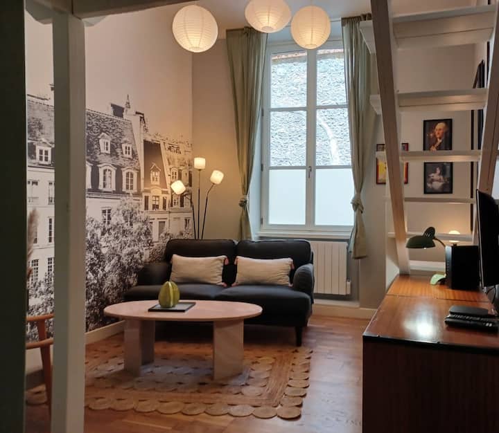 Blois : Un Petit Cocon Dans Le Centre Historique - Blois