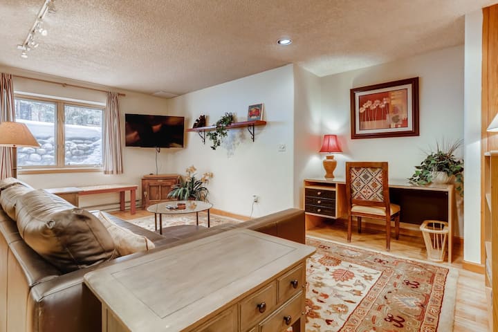 Stylish Suite Blocks From Downtown Silverthorne - Silverthorne, CO